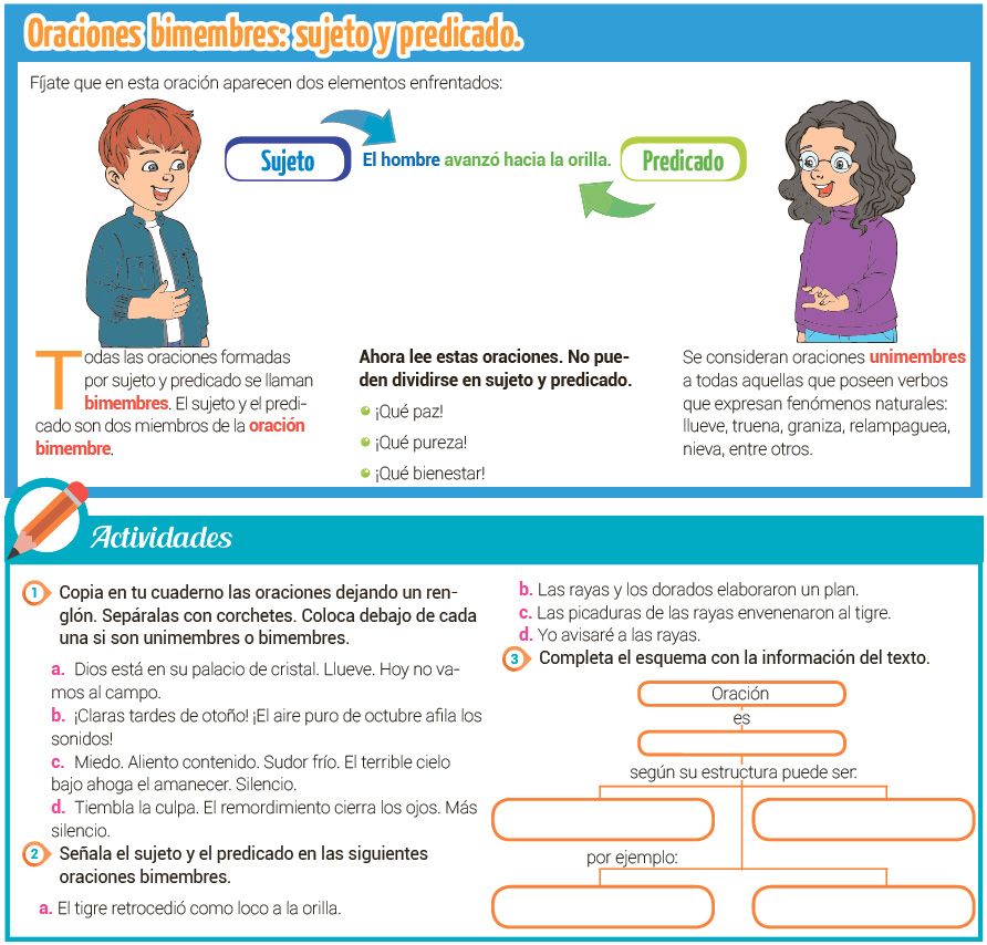 Oraciones unimembres y bimembres - Escolar - ABC Color