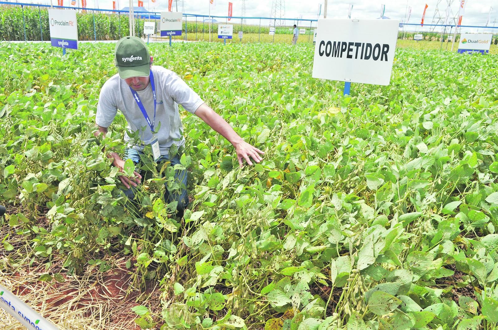 Manejo de malezas en cultivos de granos - Ing. Agr. Enrique Ferreira ...