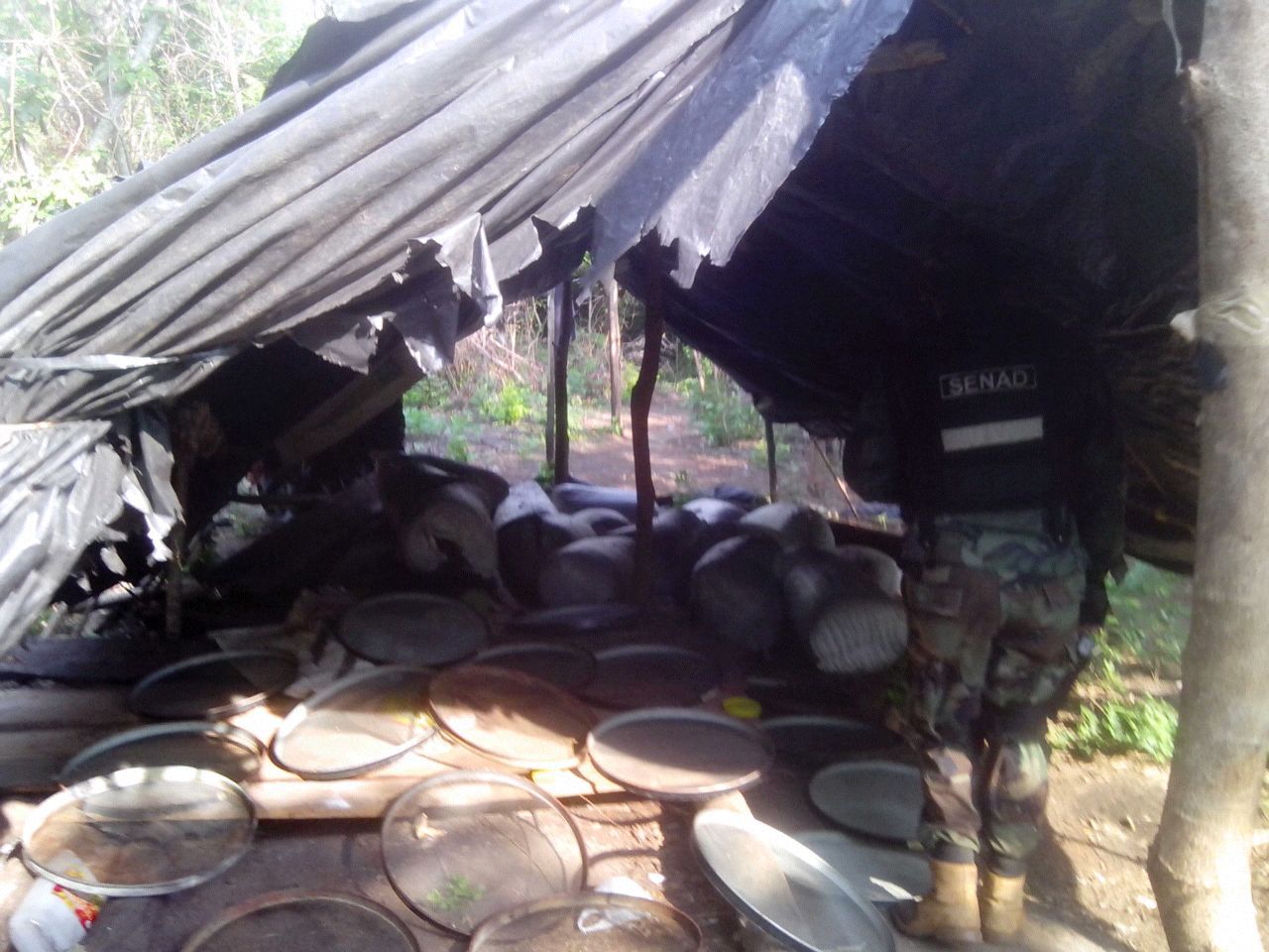 Incautan Dos Toneladas De Marihuana En Concepción Nacionales Abc Color