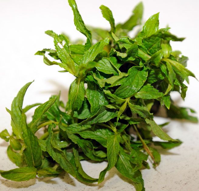 Menta’i - Salud - ABC Color