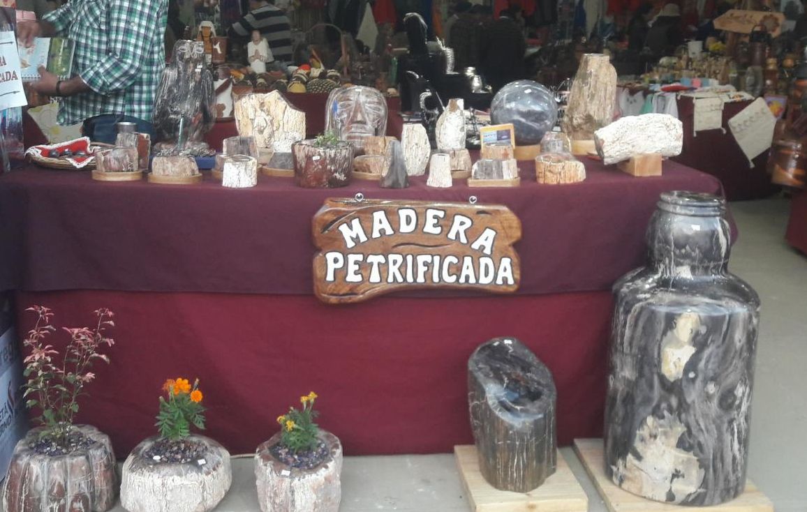 La madera petrificada hecha arte - Notas - ABC Color