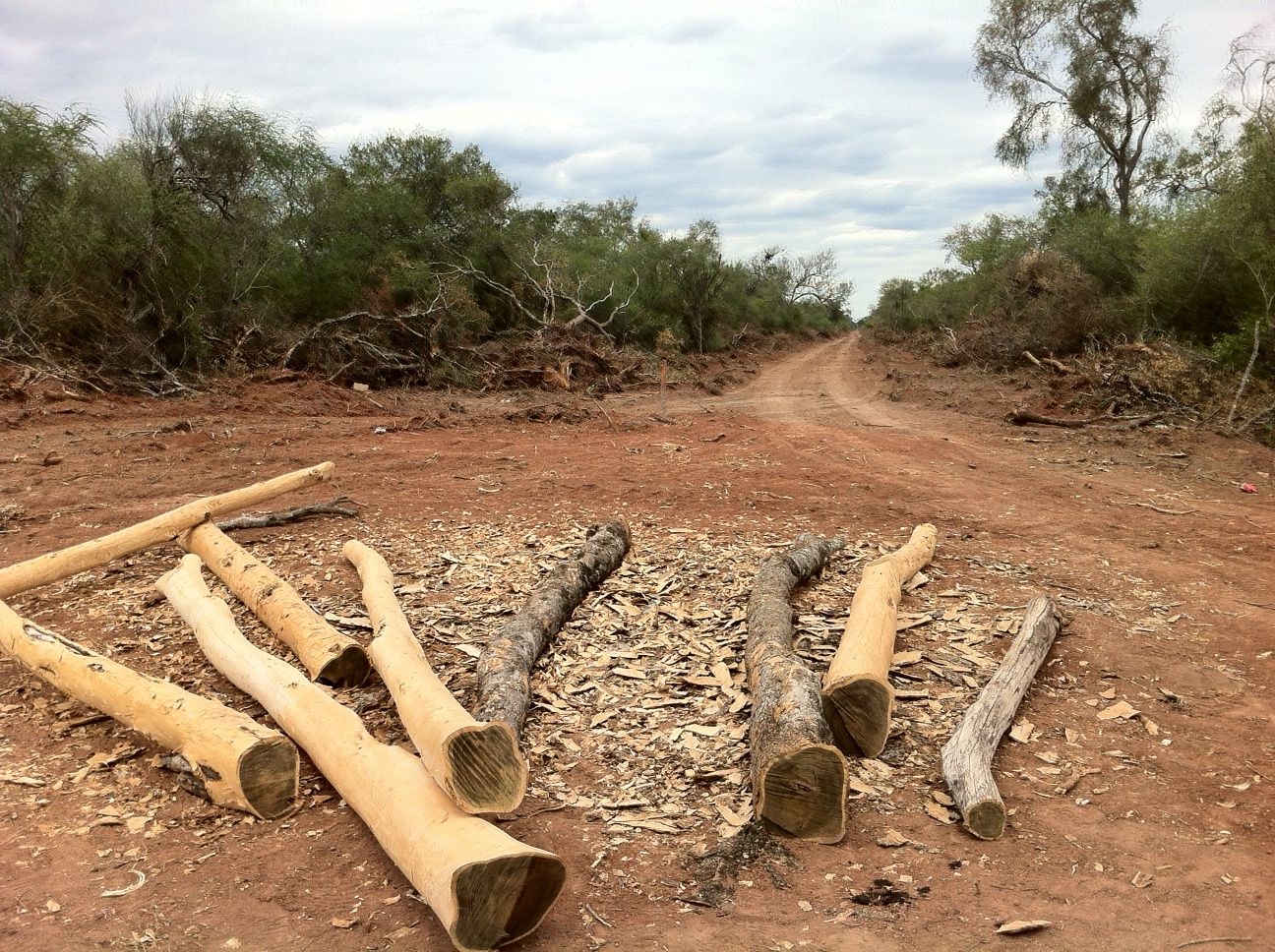 El país que más deforesta - Nacionales - ABC Color