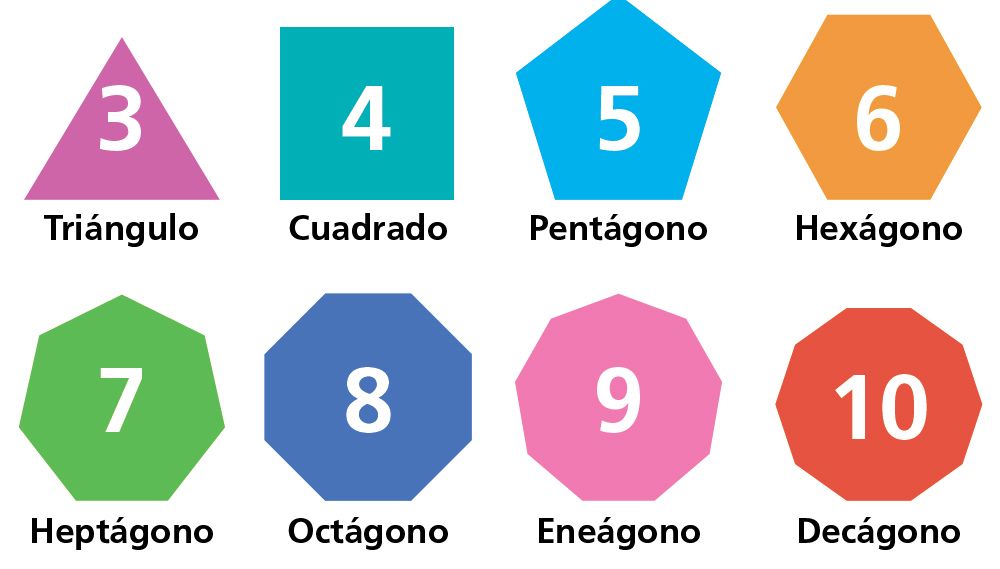 El Perímetro de polígonos - Escolar - ABC Color