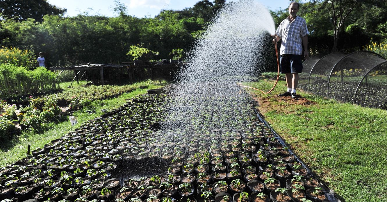 La tierra húmeda - Casa y Jardín - ABC Color