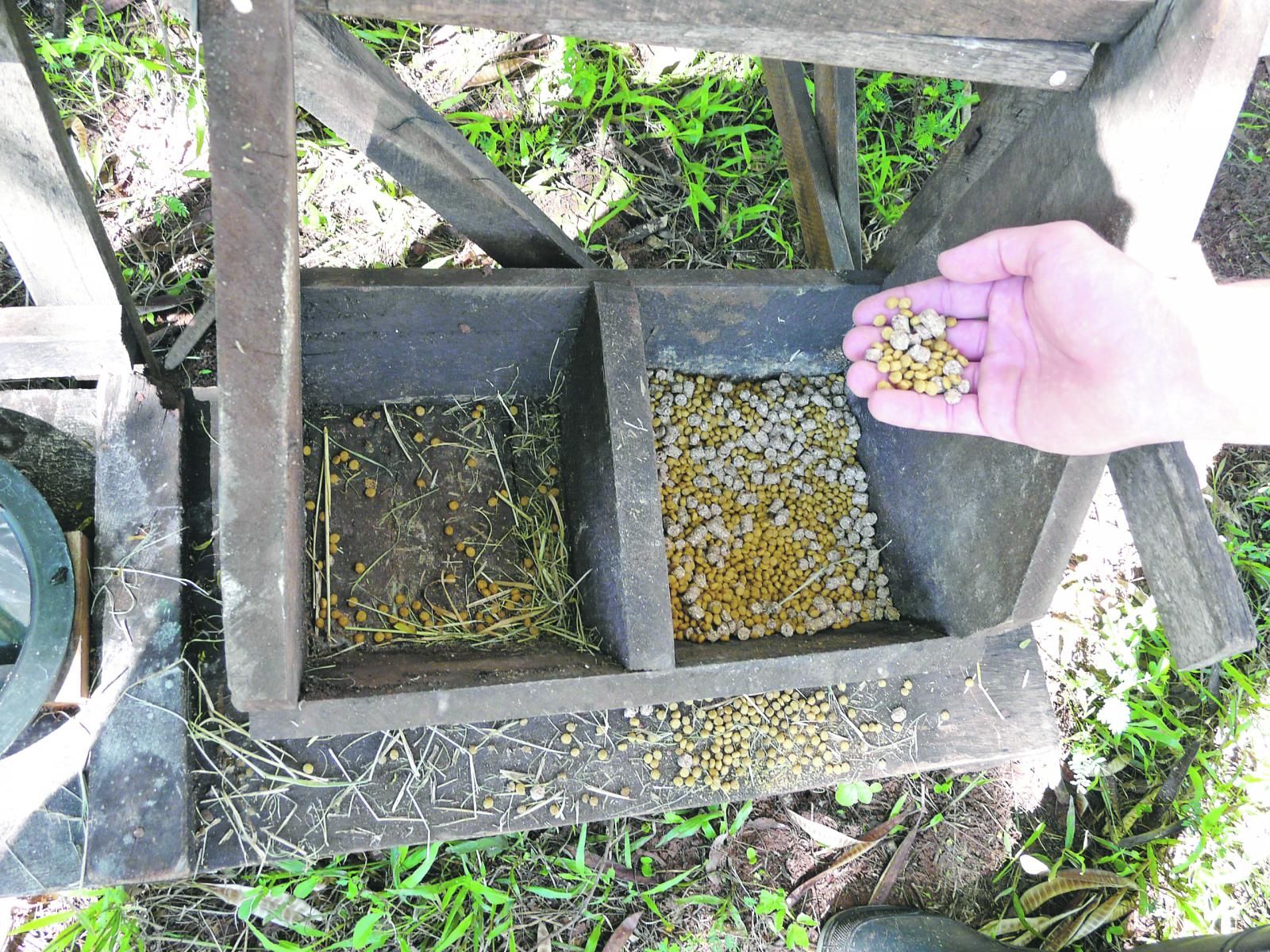 Alimentos balanceados - ABC Rural - ABC Color