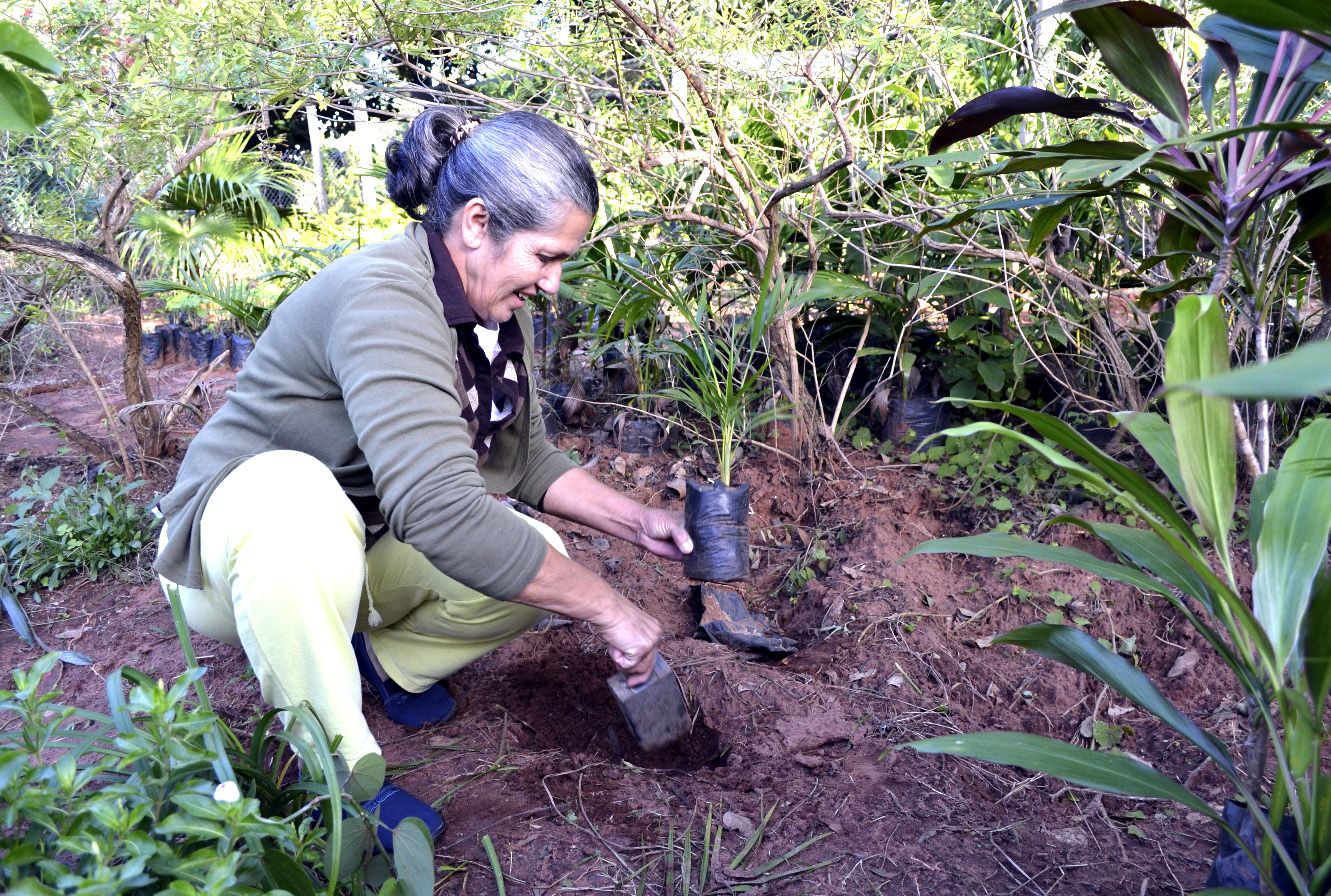 La temporada invernal es ideal para hermosear el jardín - Centinela ...
