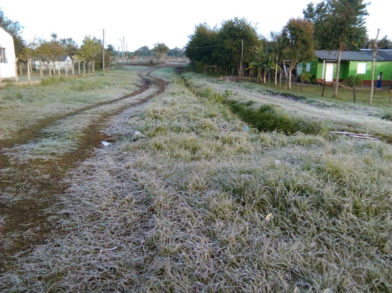 Heladas en zonas del Alto Paraná - Nacionales - ABC Color
