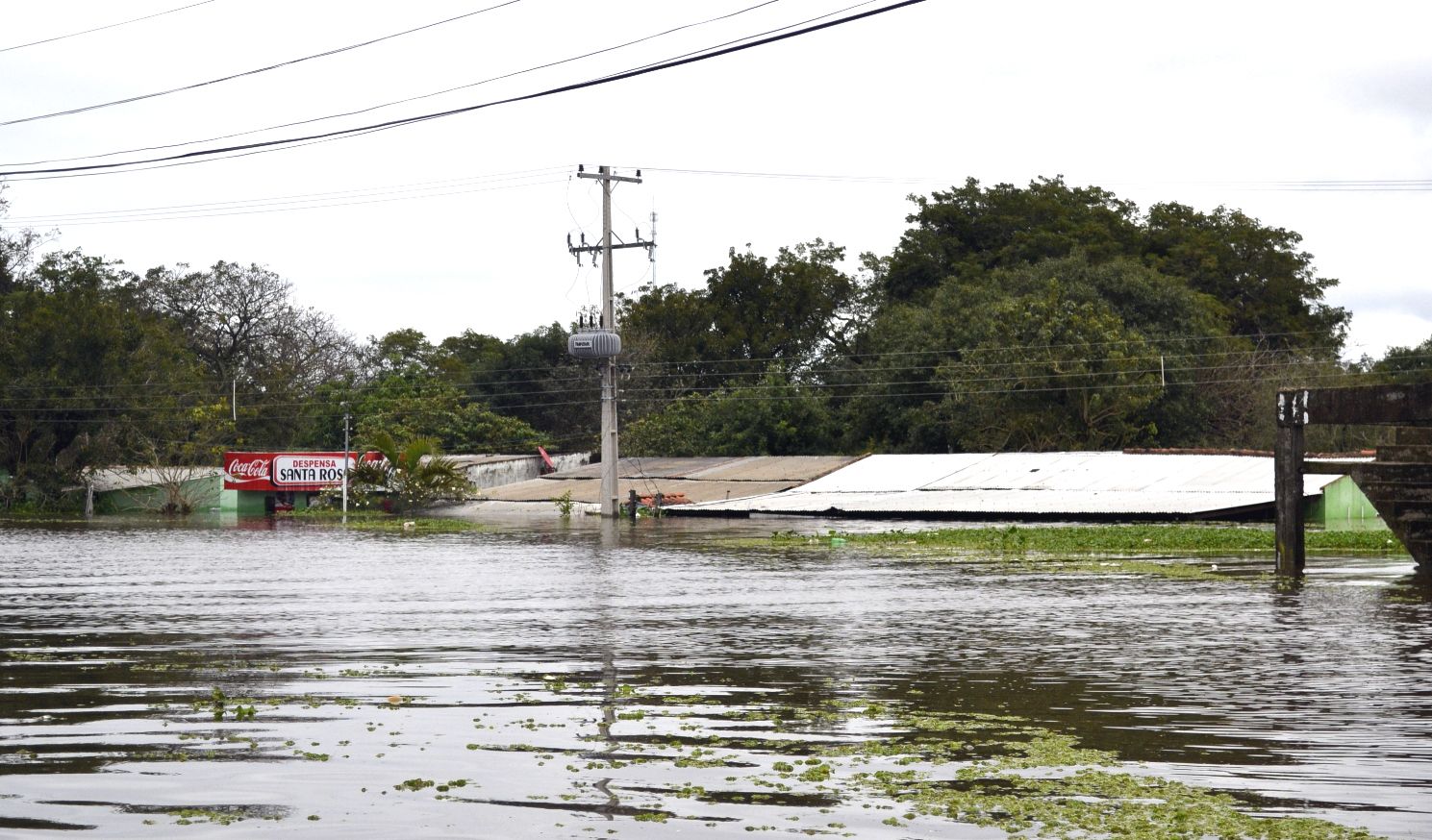 Pobladores de Nanawa ya están desesperados - Interior - ABC Color