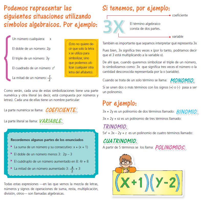 Expresiones algebraicas (1) - Escolar - ABC Color