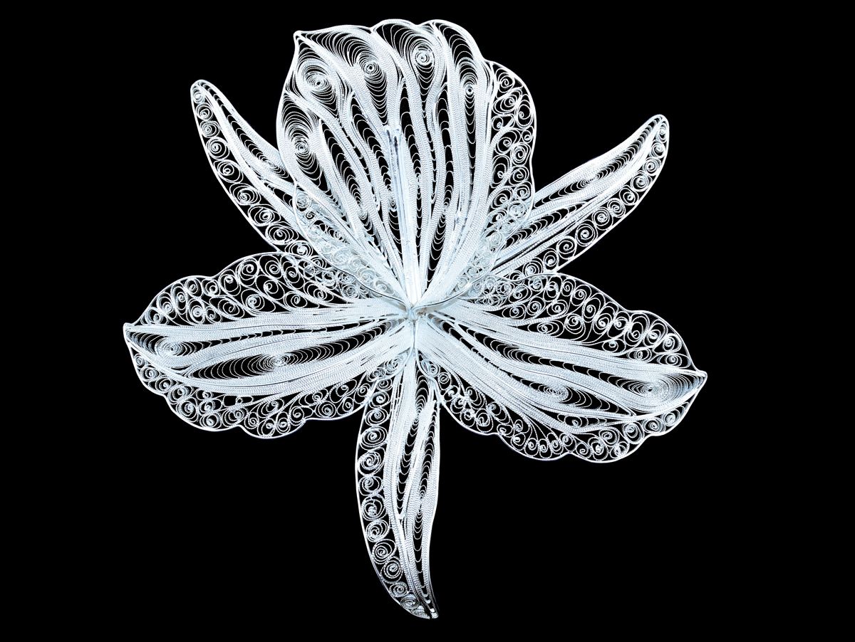 Homenaje a la filigrana en Luque - ABC Revista - ABC Color