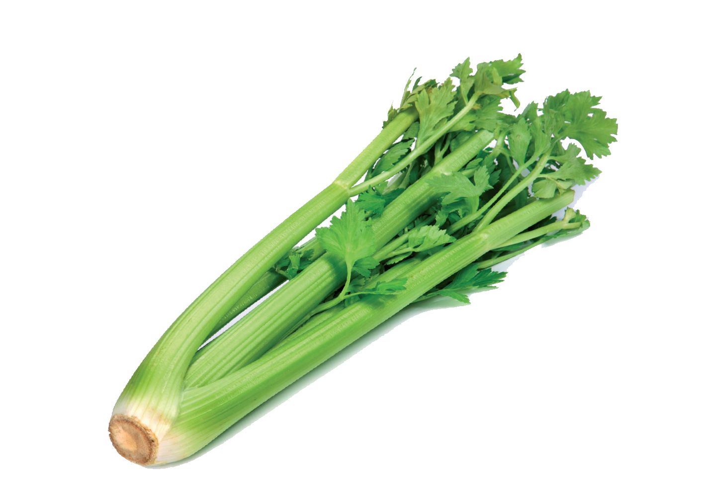Las 15 virtudes del apio - Gastronomia - ABC Color