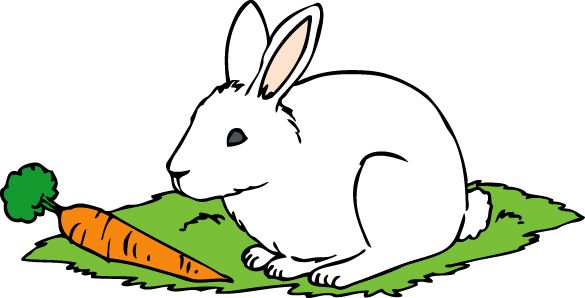 Tapiti - Escolar - ABC Color