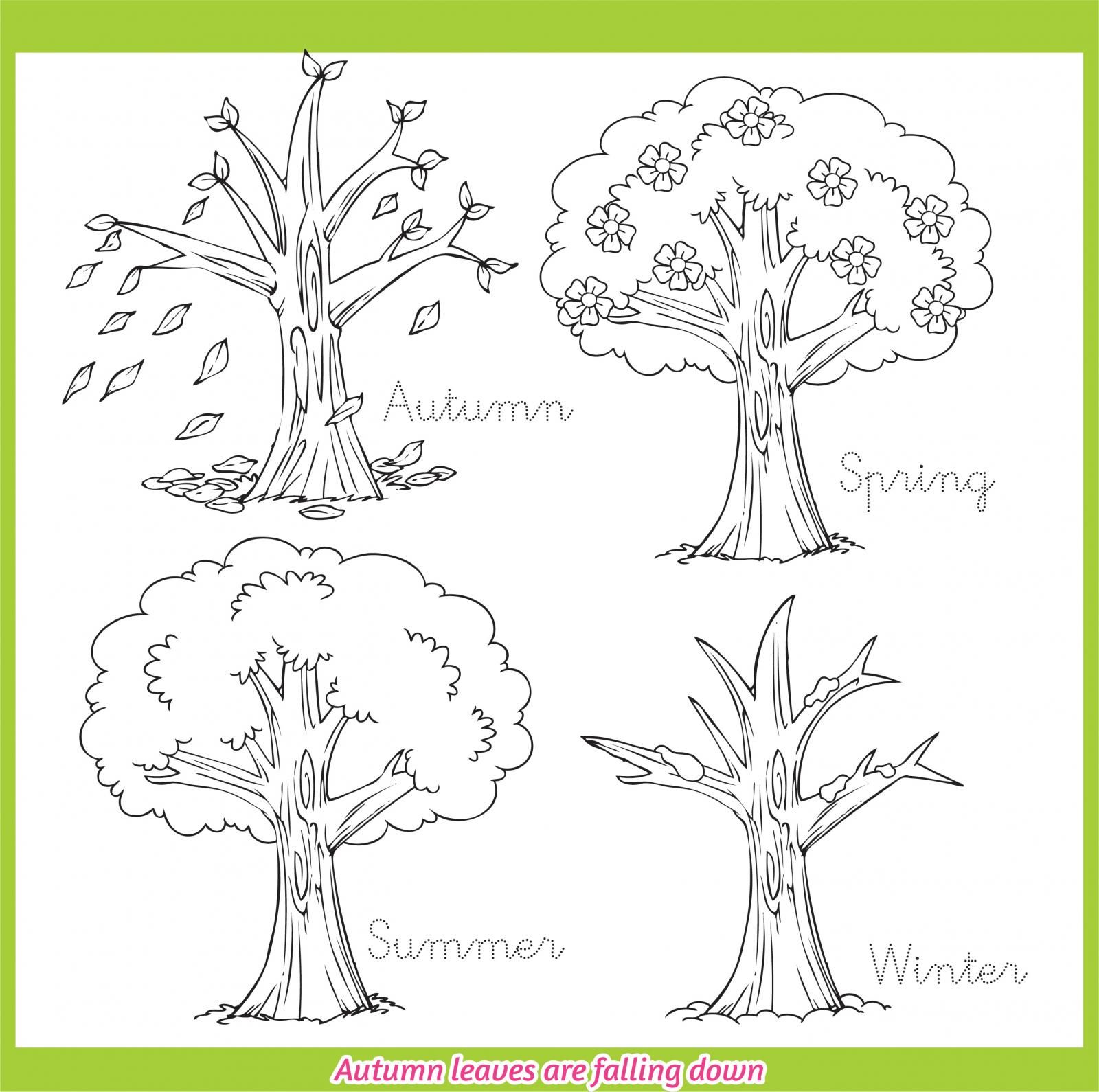 The seasons - Escolar - ABC Color