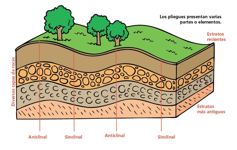 Los estratos y los pliegues - Escolar - ABC Color