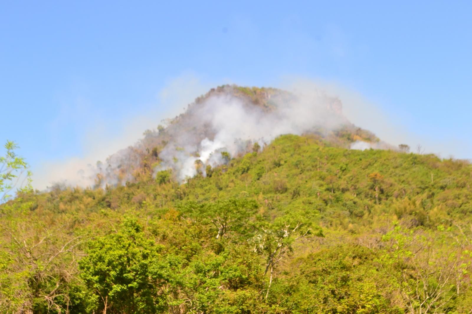 Fuego arrasó con 40 hectáreas del cerro Akatí - Nacionales - ABC Color