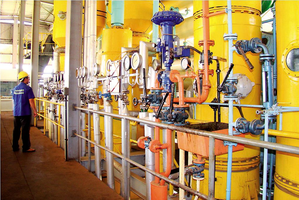 Industrias de molienda de granos crecen a buen ritmo - Día de la ...