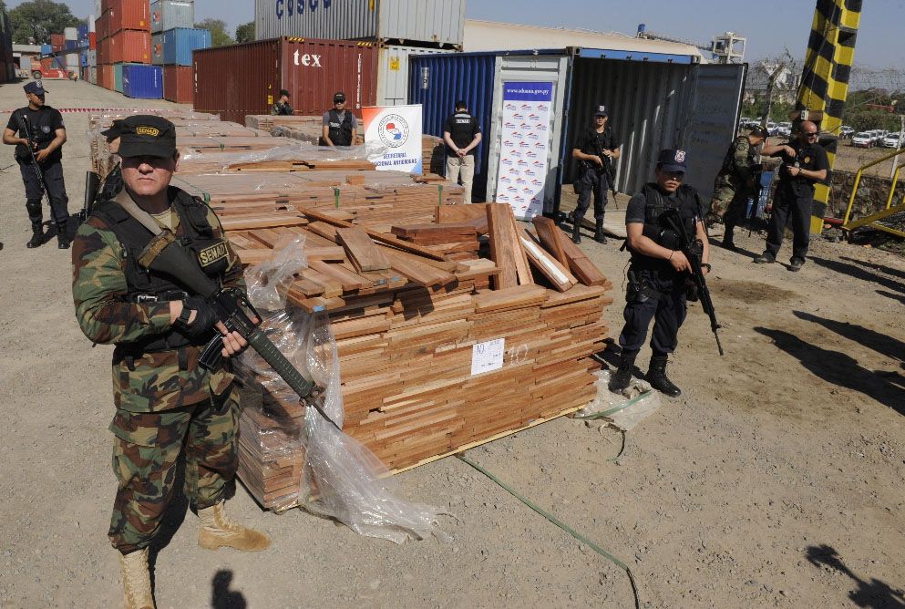 Quieren profesionales en la Senad - Nacionales - ABC Color