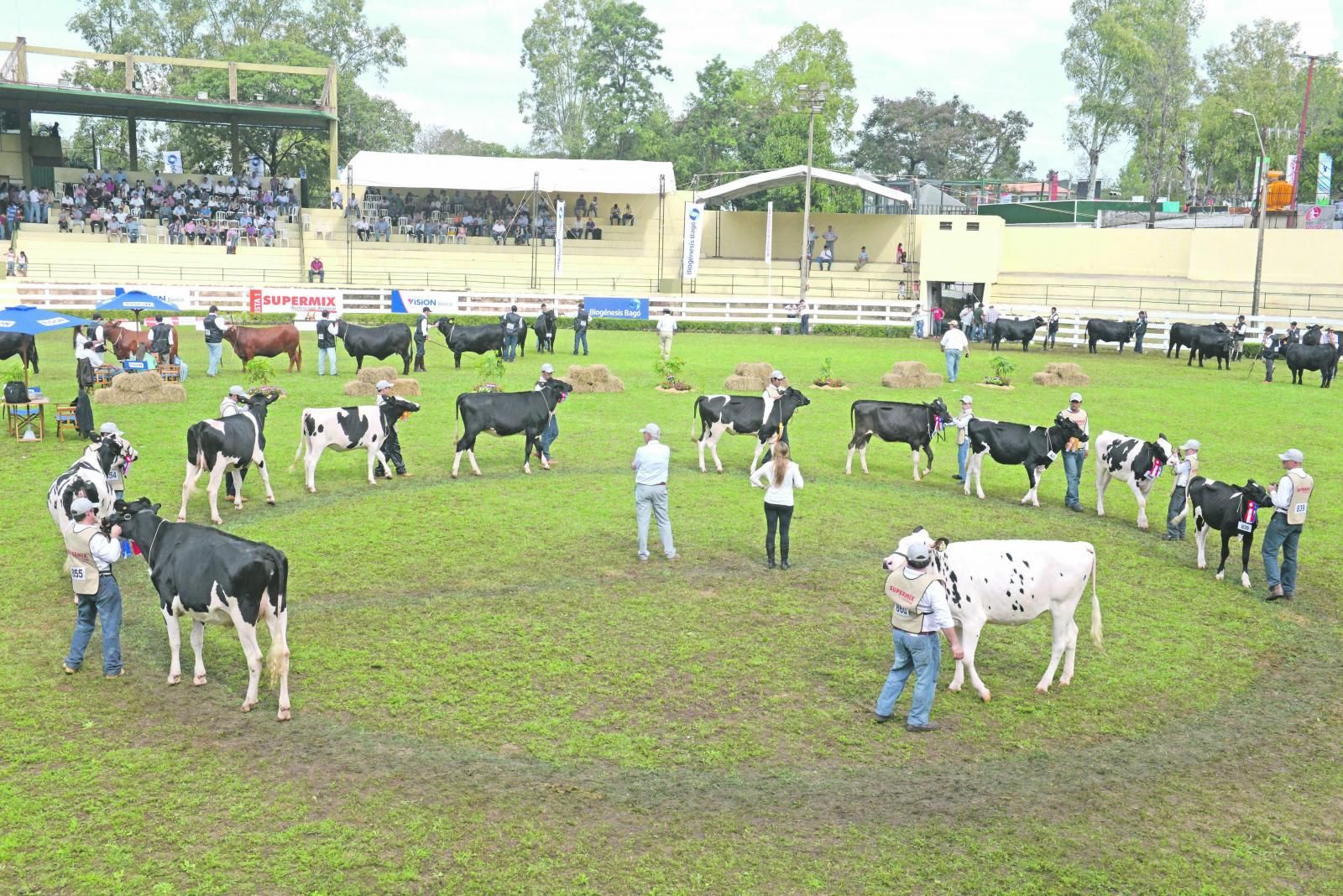 Producción animal - Dr. P. M. Gibert - ABC Rural - ABC Color
