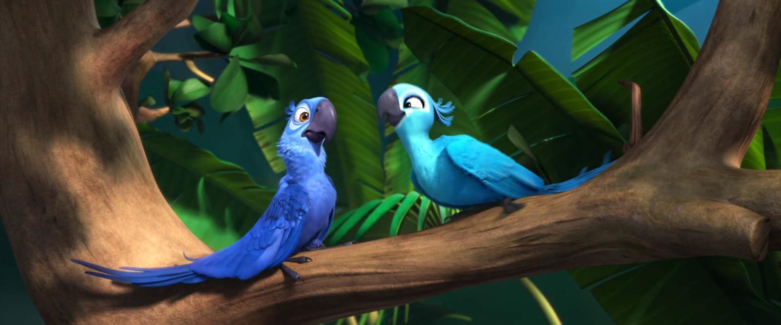 “Rio 2”, un festival de música y color de la Amazonía - Cine y TV - ABC ...