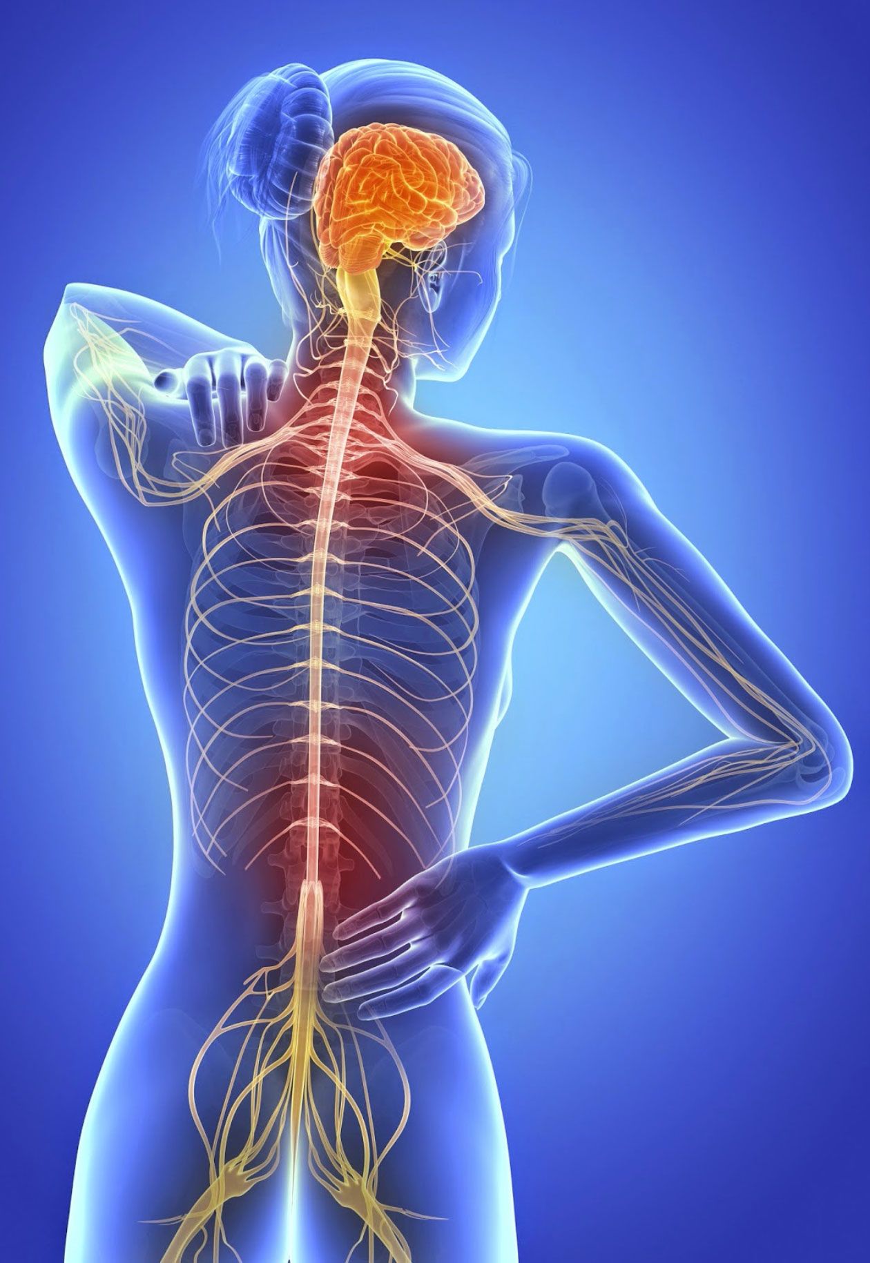 La esclerosis múltiple - Salud - ABC Color