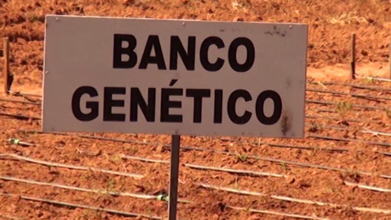 Programa ABC Rural Tv 831 - ABC Rural - ABC Color