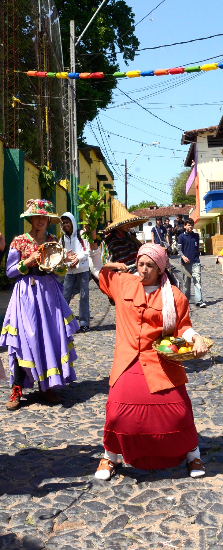 El territorio simbólico: barrios y fiestas hoy en Asunción - Cultural ...