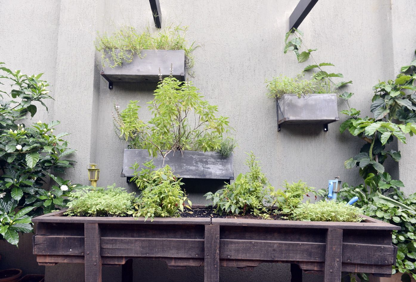 Huerta vertical - Casa y Jardín - ABC Color