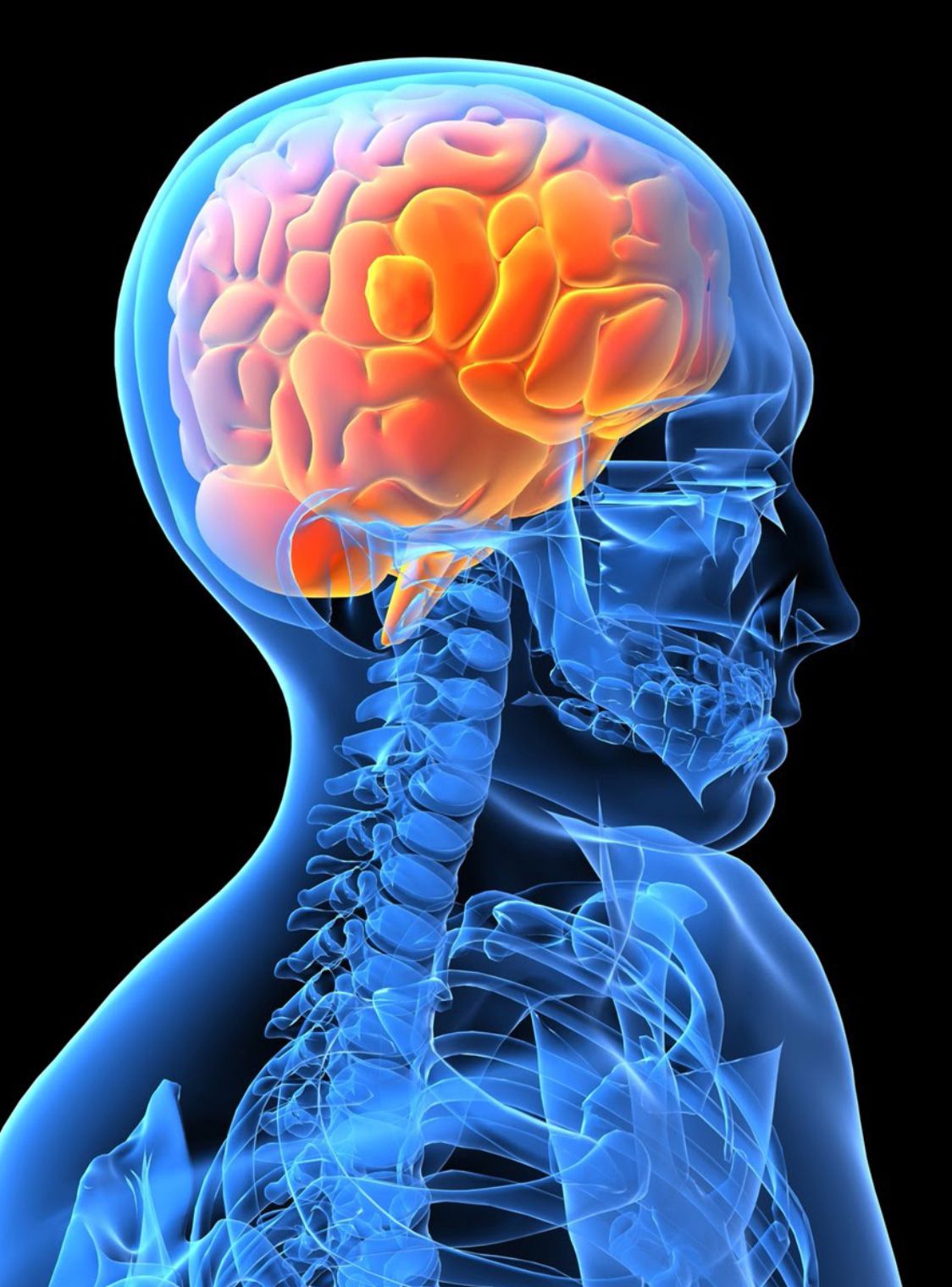 Desequilibrio del pH en el cerebro puede provocar Alzhéimer - Ciencia ...